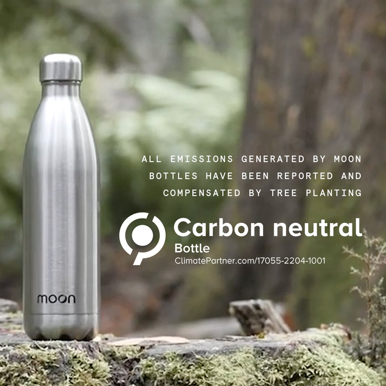 Insulated, Stainless Steel Water Bottles | Moon Bottles UK